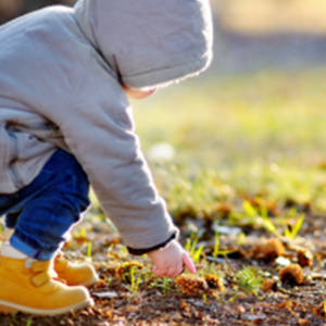 Explore - Boardwalk Village